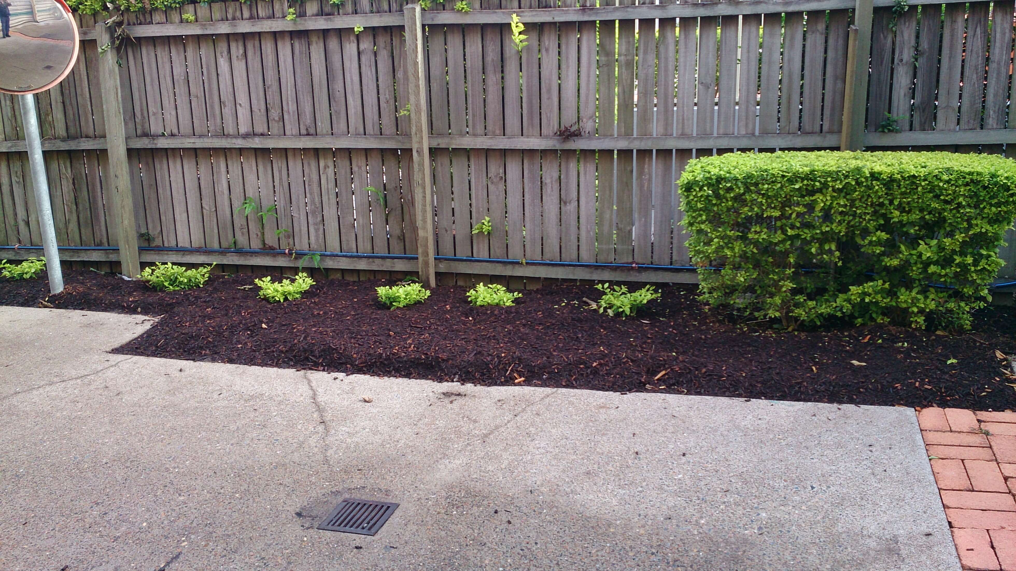 Whole Yards - Projects