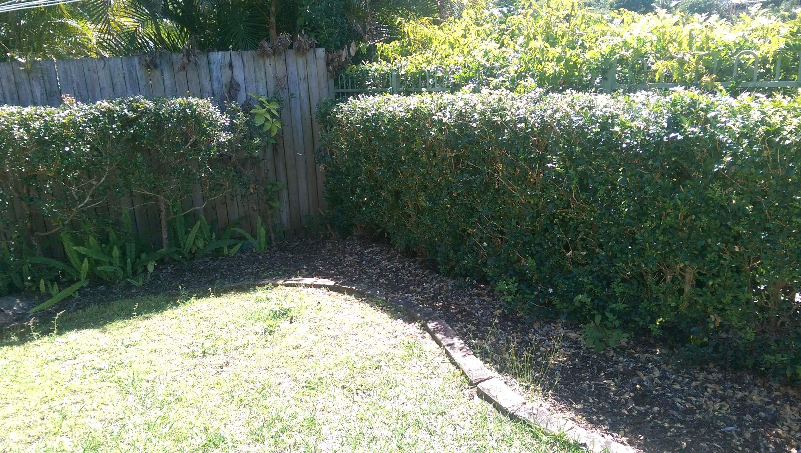 Whole Yards - Projects